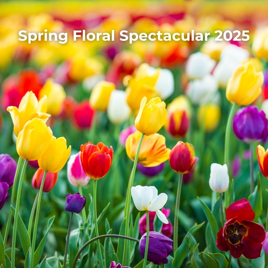 Spring Floral Spectacular 2025 - EPIC
